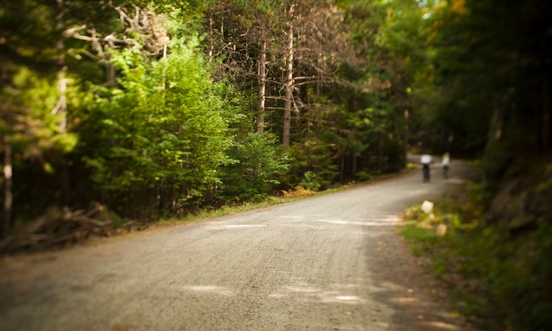Acadia Carriage Trails, Biking - AllTrips